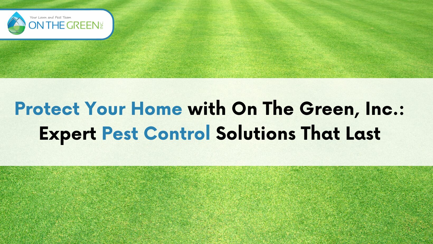 Protect Your Home | Expert Pest Control Solutions | On The Green