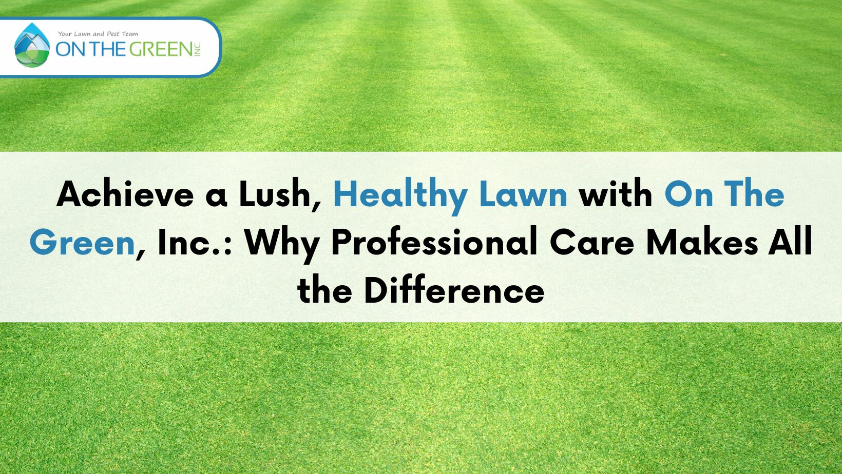 Achieve a Lush, Healthy Lawn with us - On The Green Inc.