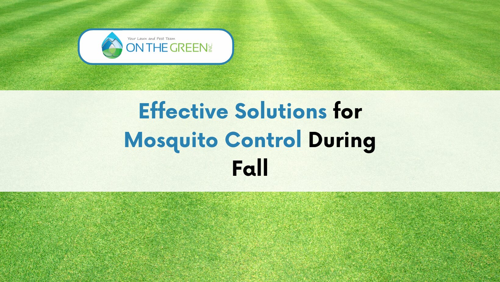 Effective Solutions for Mosquito Control in Fall - On The Green, Inc.