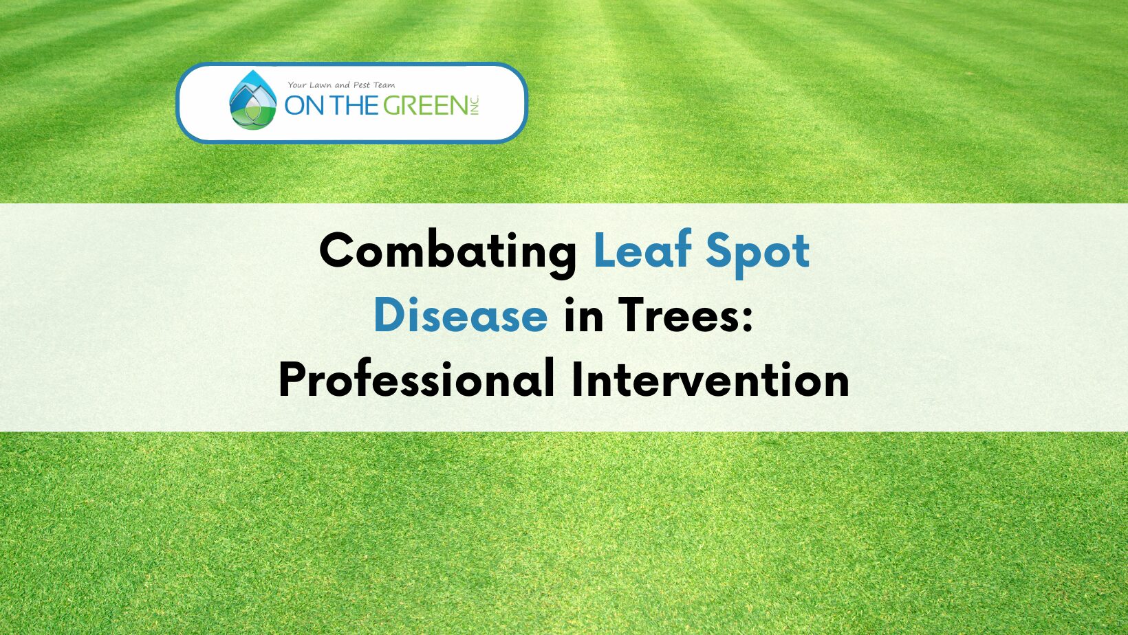 Combating Leaf Spot Disease in Trees | On The Green, Inc.